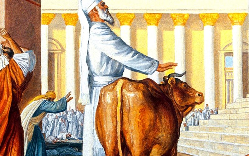 Animals that Represent Jesus – Beauties of the Truth