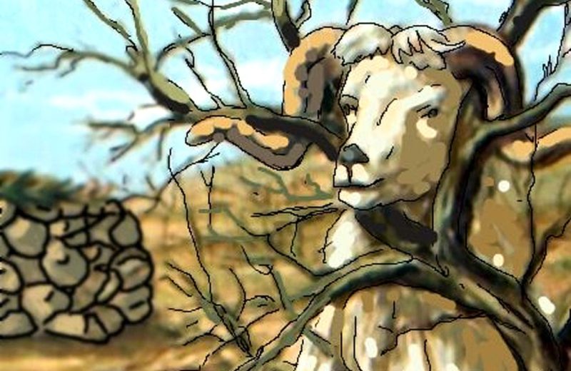Animals that Represent Jesus – Beauties of the Truth
